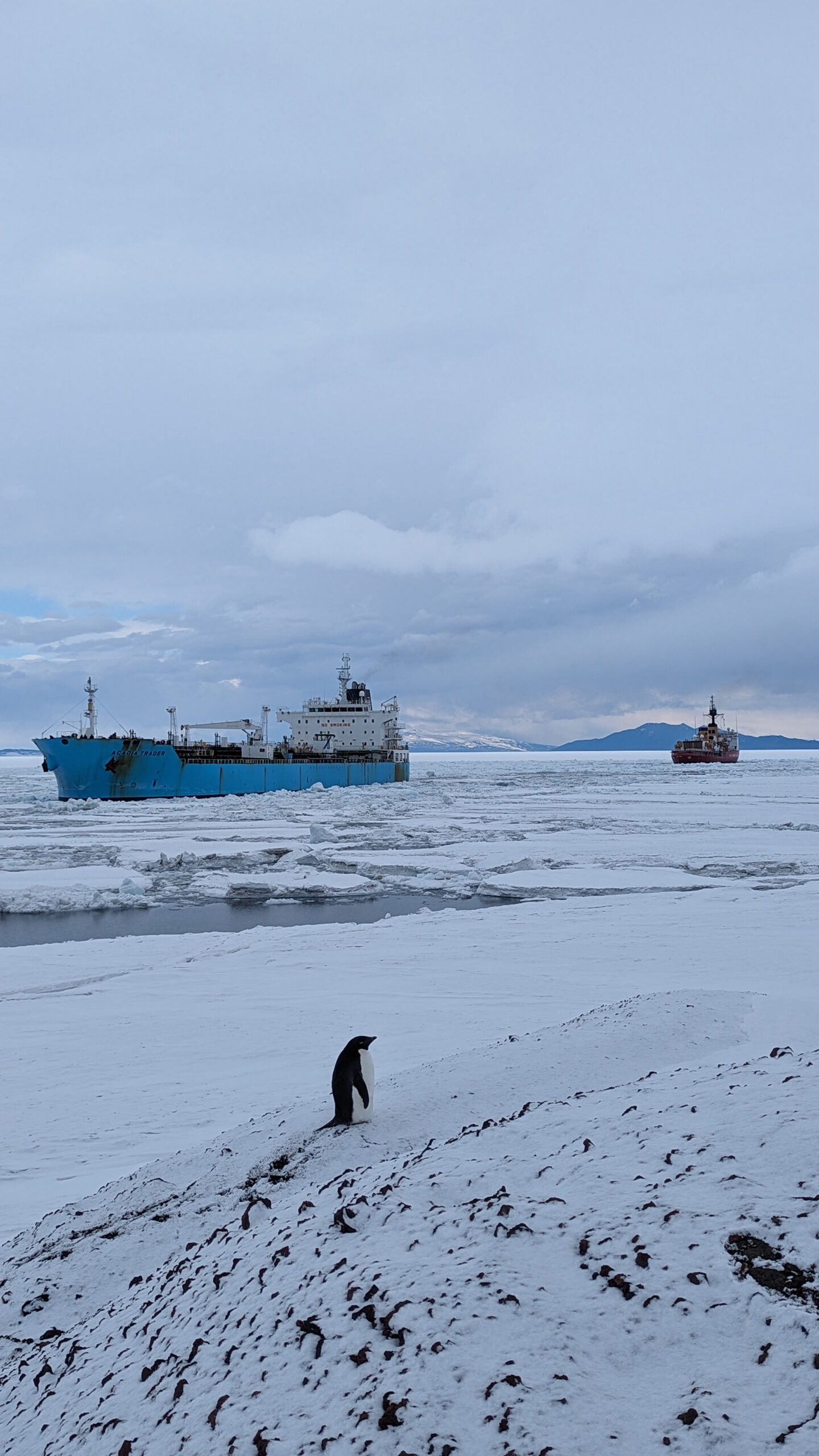 M/V Acadia Trader completes Operation Deep Freeze mission to Antarctica ...